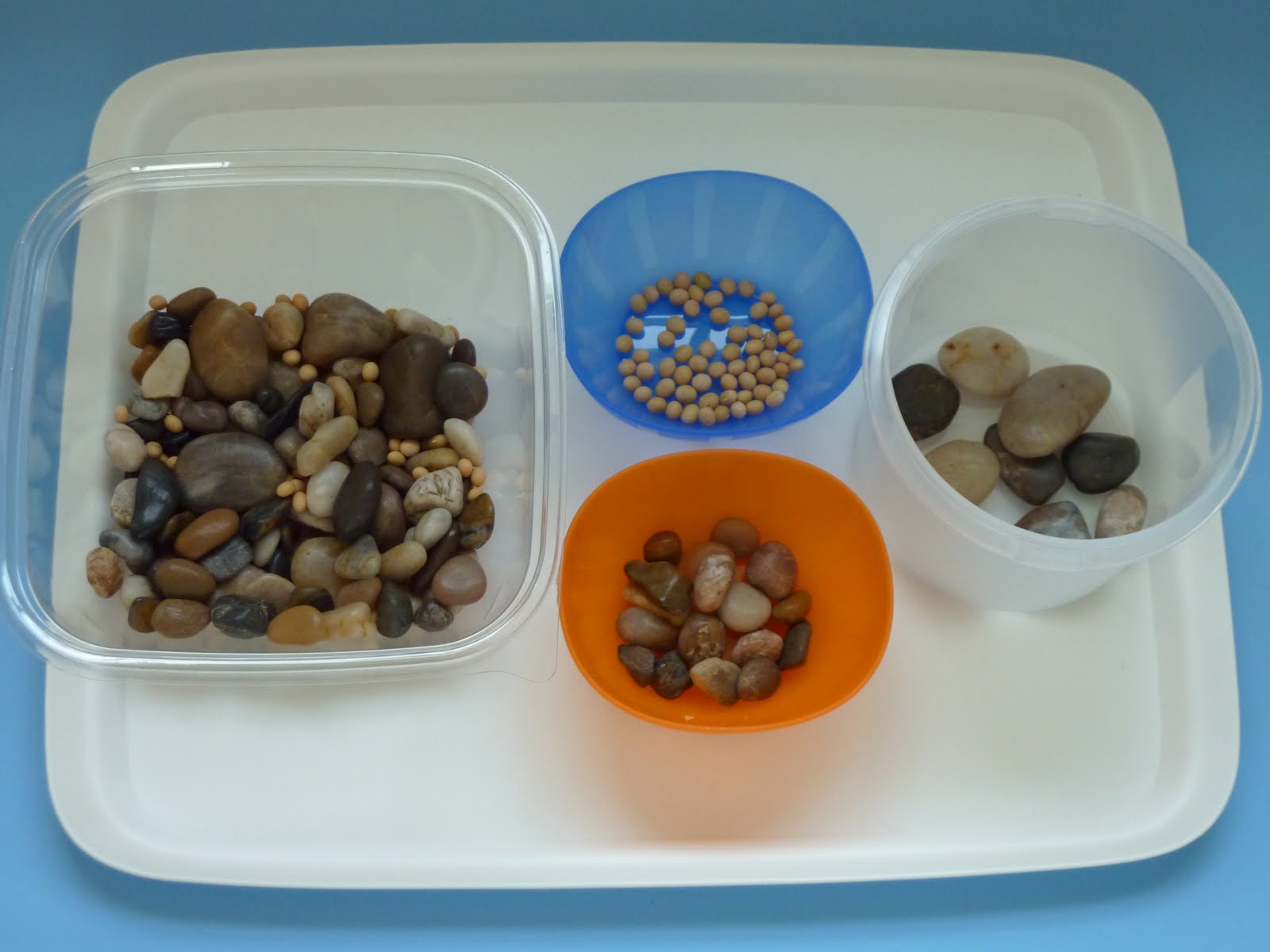 Family FECS: Montessori Activity: Sorting Stones & Beans