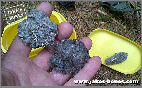 Dissecting bird pellets : Jake's Bones