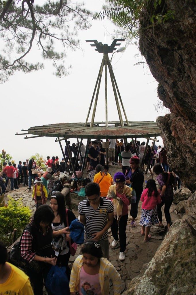 OUR PHILIPPINE TREES: Details of a Crowded Baguio
