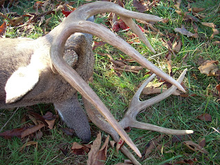 Rare Breed Whitetail Hunting: North Christian County Kentucky Buck
