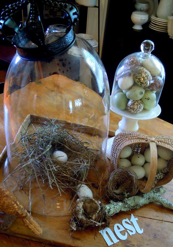 *The Brambleberry Cottage*: Talented Time Travelers in Focus #49 & 50