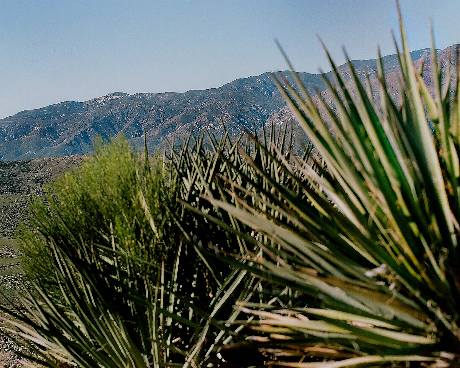 I Shoot Medium Format Film: Medium Format What is it and Why use it?