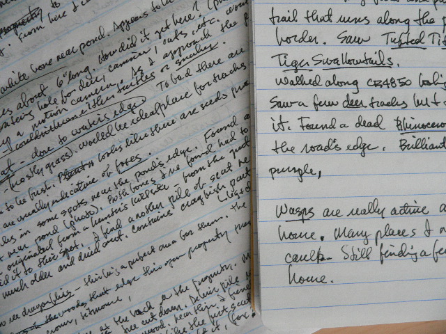 Journals of an Amateur Naturalist: Random Notebook Scribblings 6
