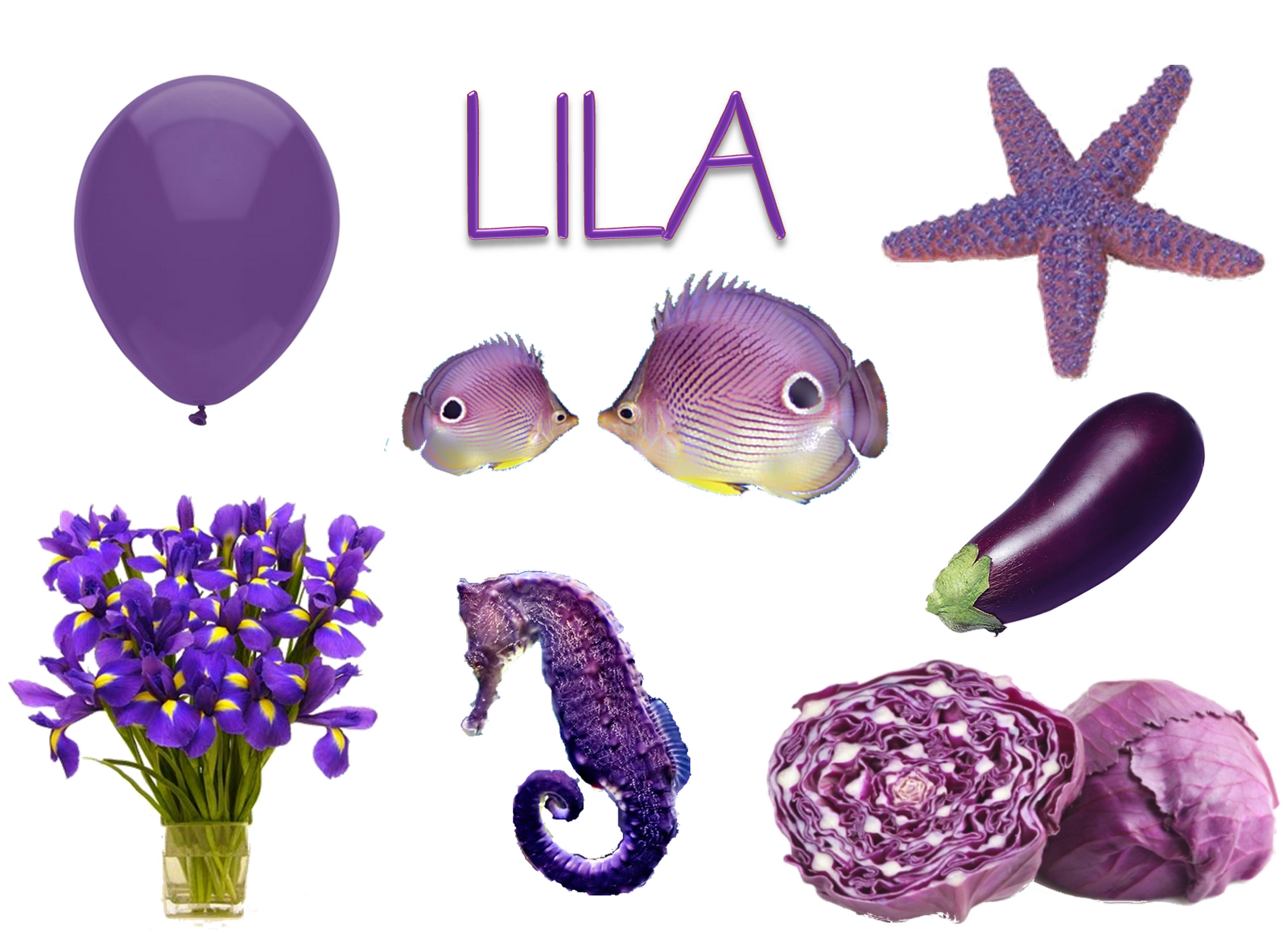 QUÉ HACEMOS HOY EN EL COLE?: COLORS