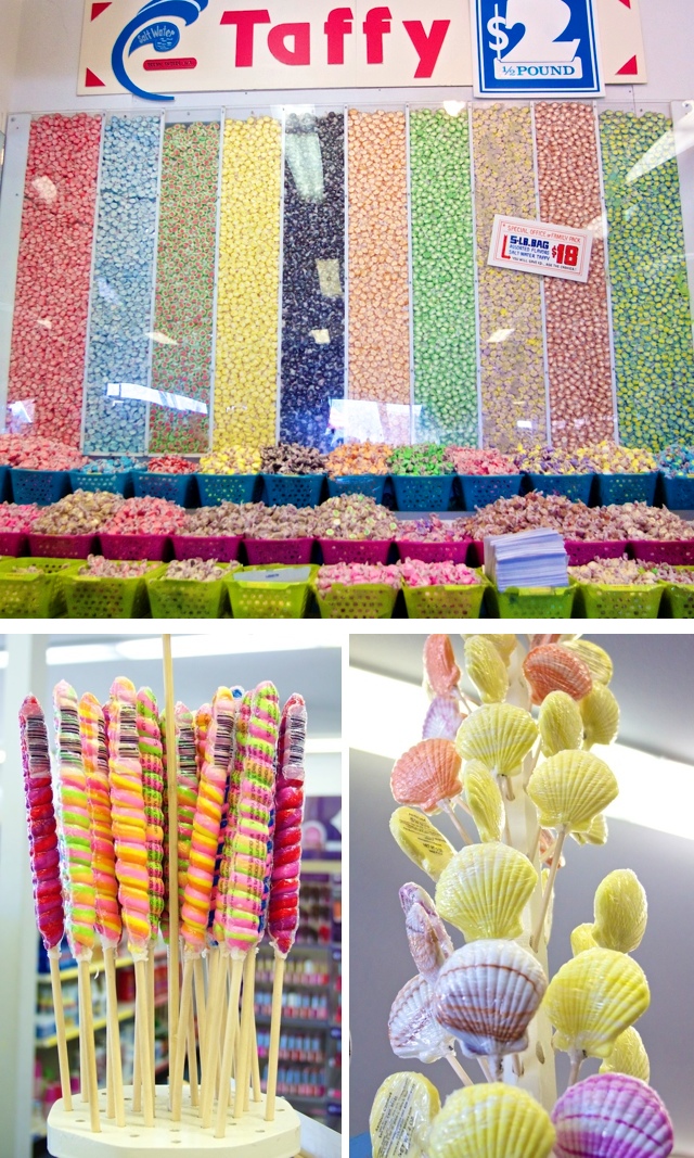 Our Trip to Ocean Shores!