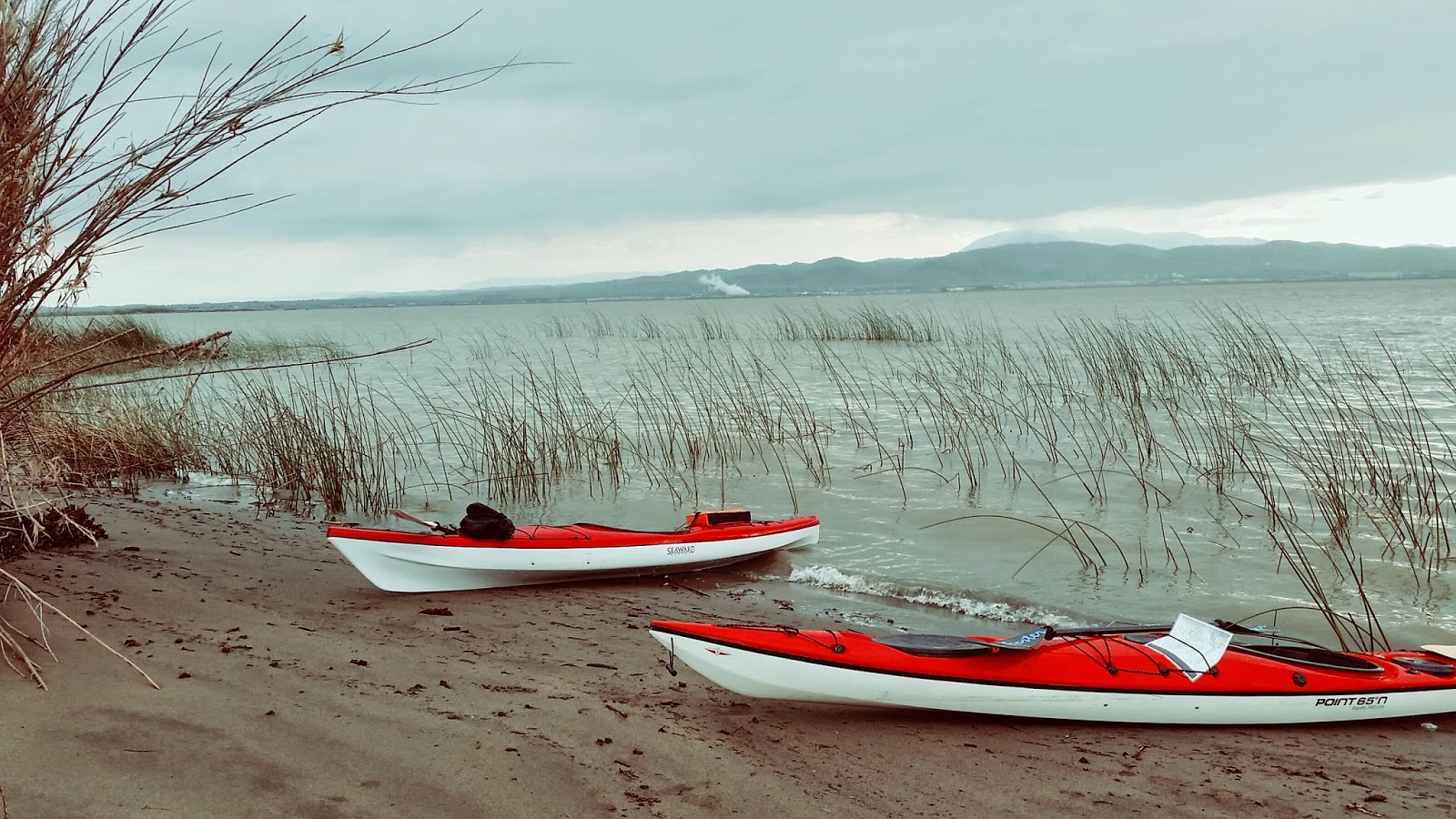 Kayaking the California Delta: Collinsville