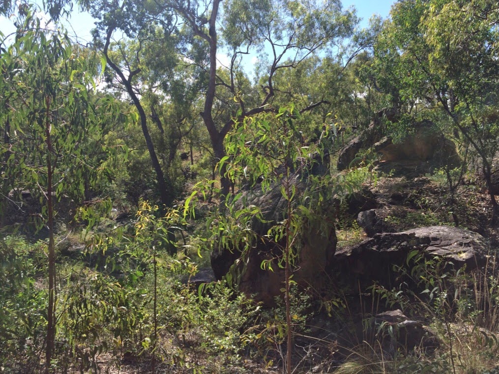Where in the World are Robert and Cherryl?: Quinkan Rock Art