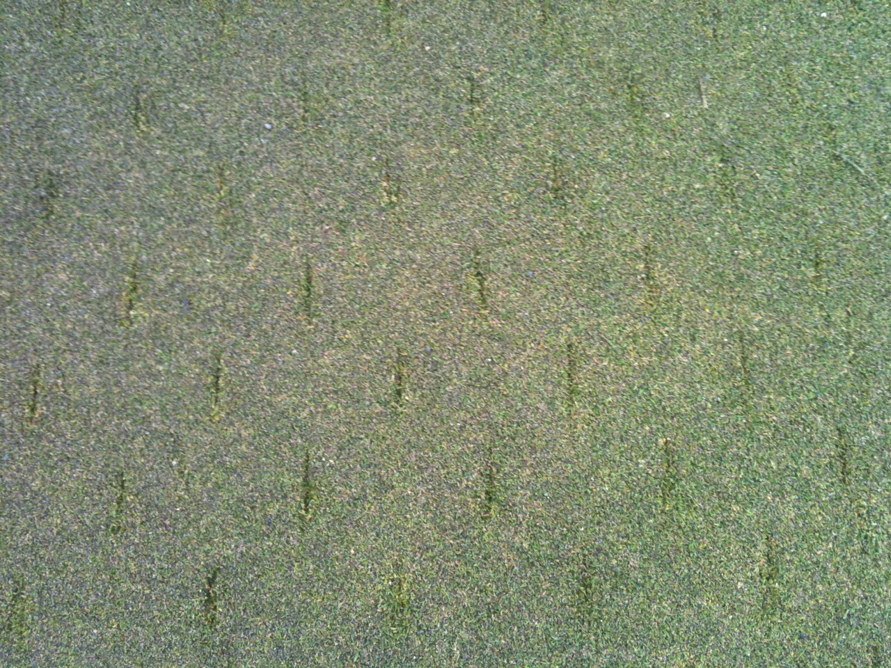 Quilchena Golf Club Turf Care: It's a busy Maintenance Morning!