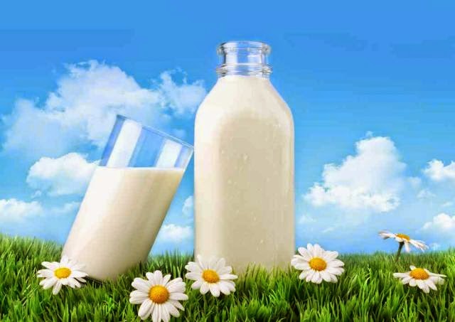 Susu dan Khasiatnya Kata Para Ahli - Pena Opini