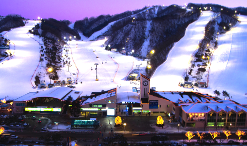 Enjoy Ski In Korea: Visit Vivaldi Park for skiing in Korea!