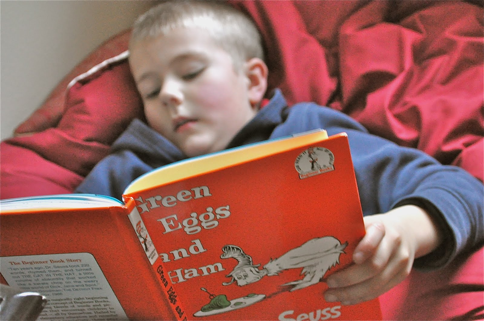 how to trick your child into reading {my devious methods} | Little ...