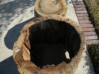 thetadbiteclectic : Stump-cycle