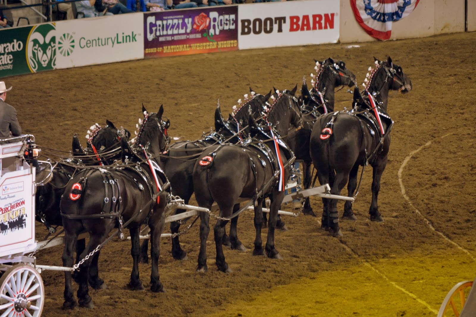 Mille Fiori Favoriti: The National Western Stock Show and Rodeo