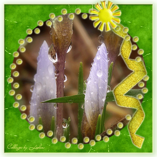 Felicitări ,imagini,Mişcătoare,Imagini Frumoase,Gif-uri,urari,mesaje,zi ...