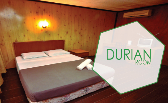 William Island Paradise Ent.: Panuba Inn Resort