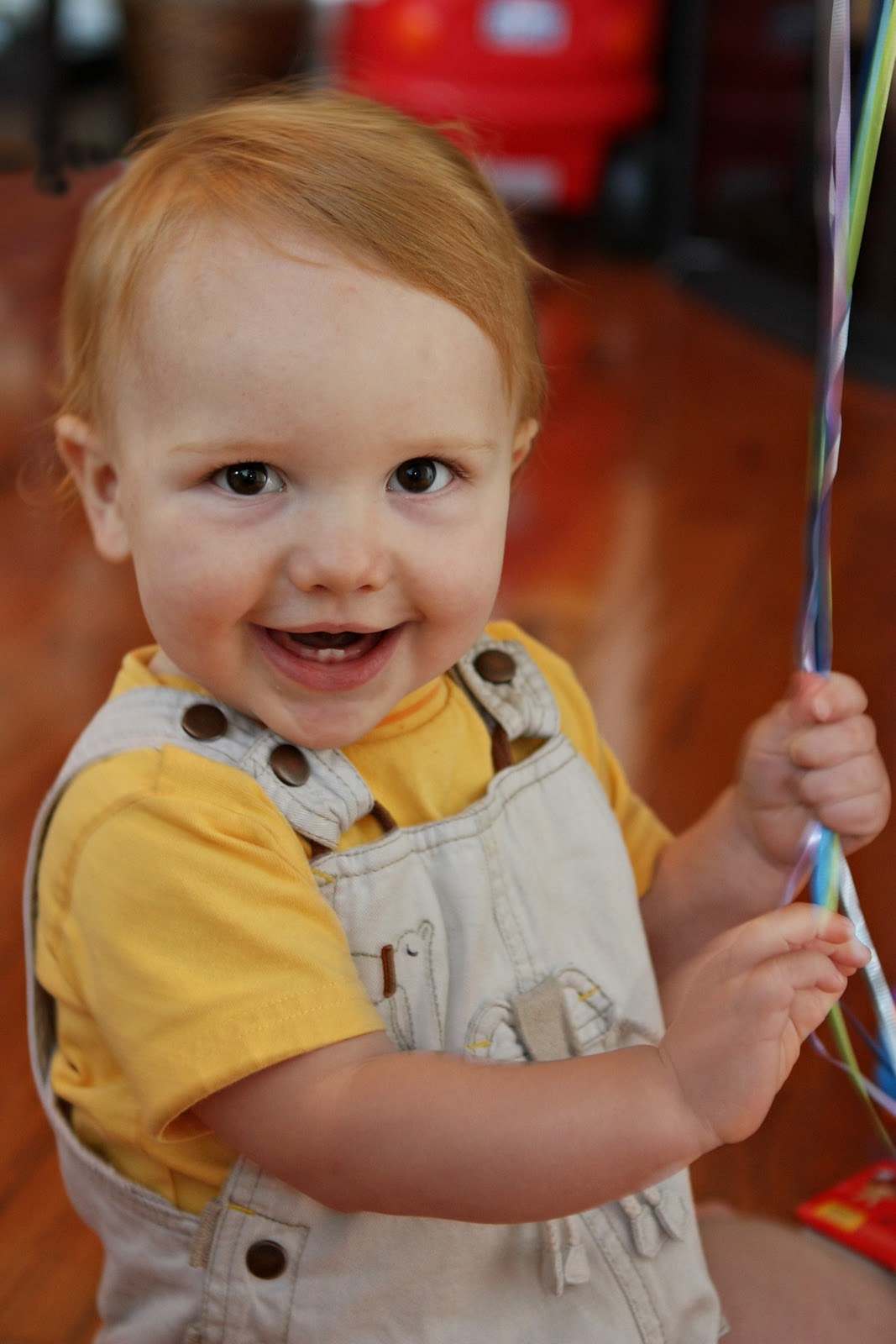 Morning Glories: Happy 1st Birthday Miles!