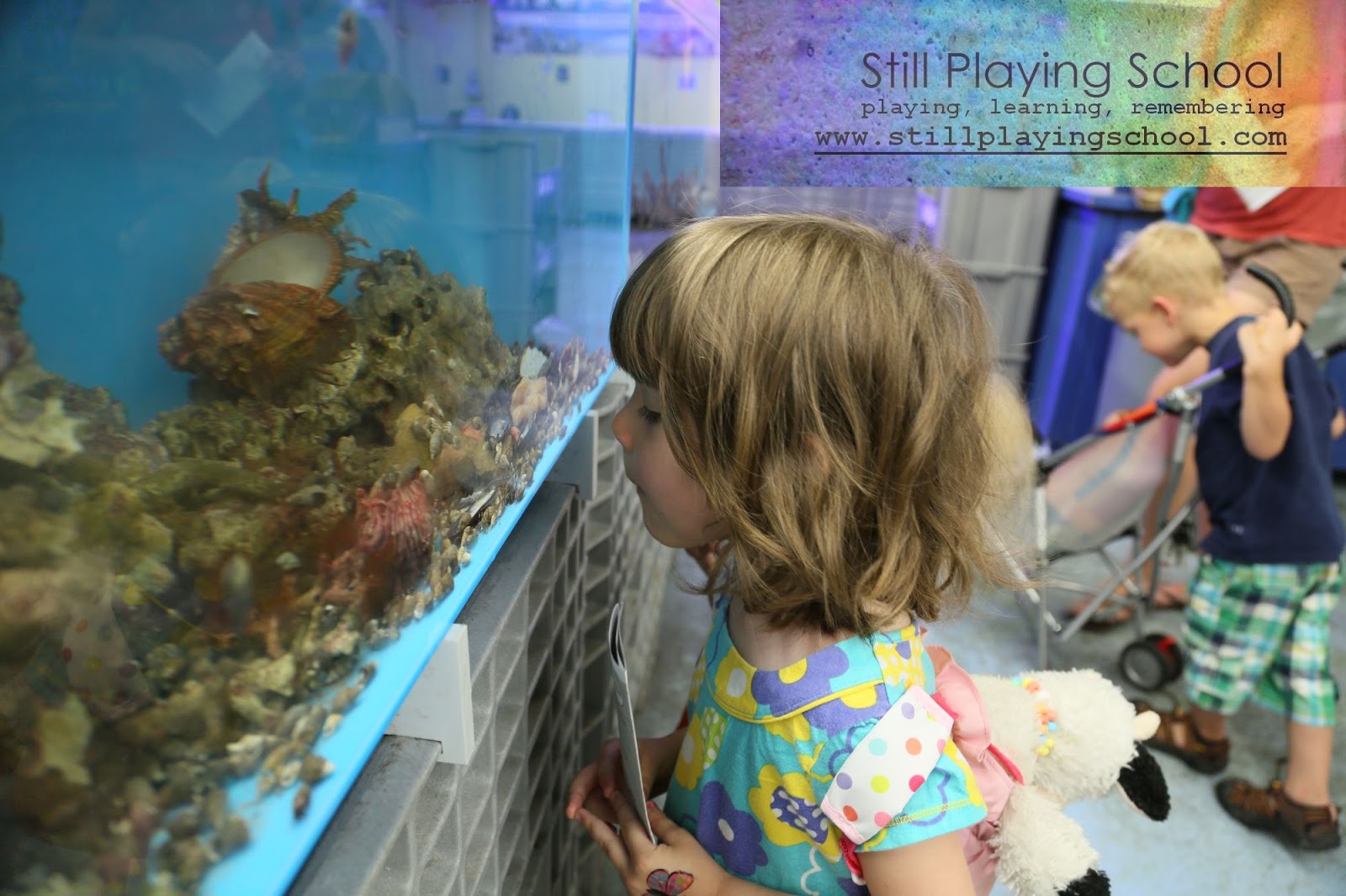 Our Preschool Ocean and Beach Theme | Still Playing School