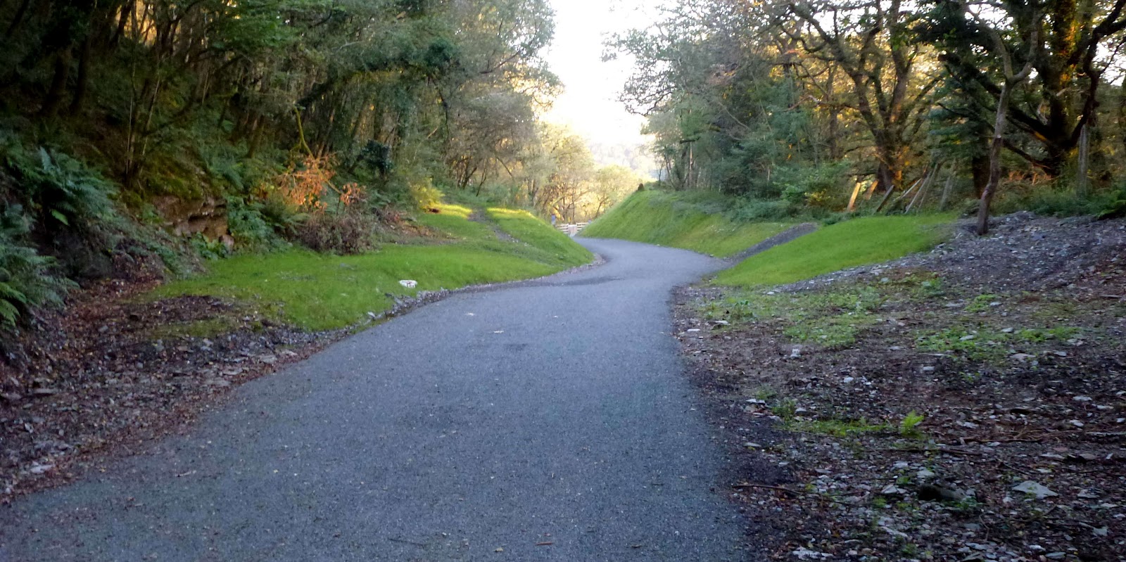 My Dartmoor Walks: Wednesday 5th September Gem Bridge and Grenofen ...
