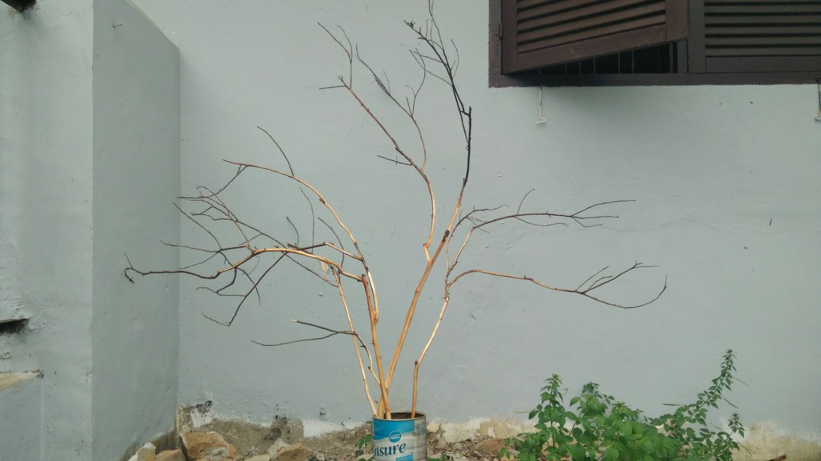 Pemanfaatan Ekonomi Sumber Daya Hutan: MANFAAT EKONOMI SUMBERDAYA HUTAN ...