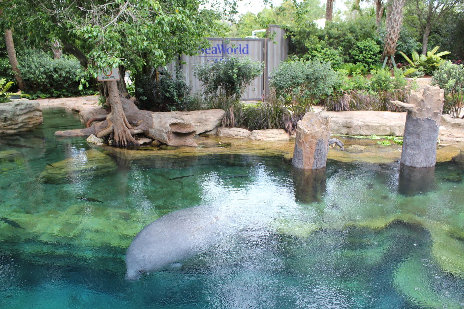 Pajama Penguin Productions: Review: Turtle Trek at SeaWorld Orlando