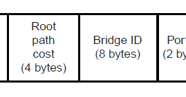 Networking And Scripting : STP Vs RSTP