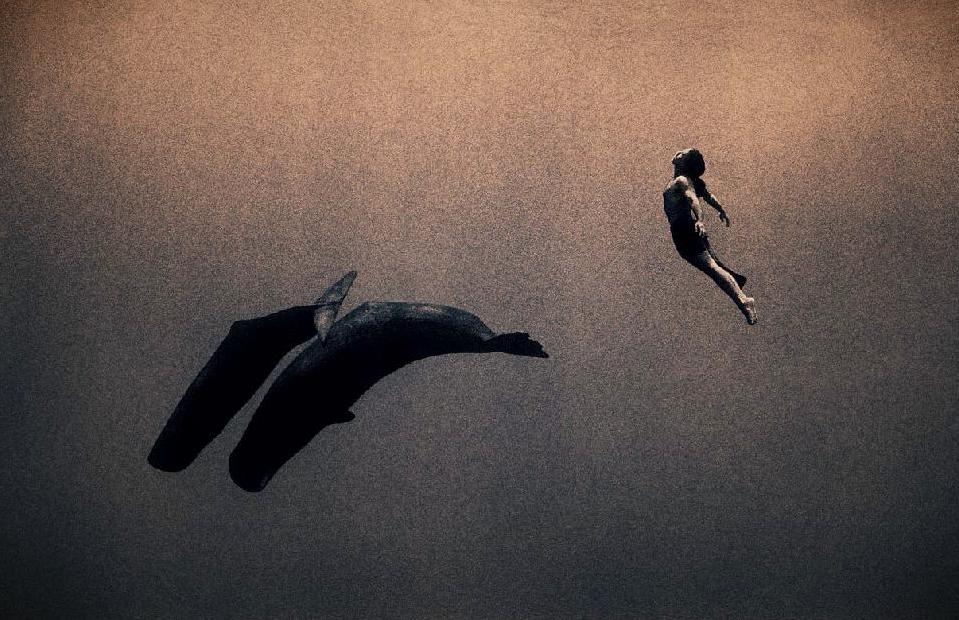 ...por detrás dos olhos: Imagens: Fotógrafo: Gregory Colbert