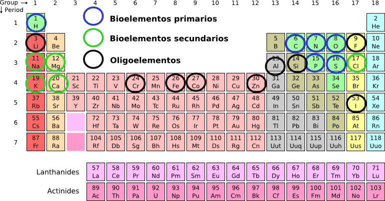 BIOLOGIANOVENOEOH2017: LOS BIOELEMENTOS