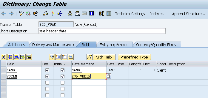 SAP TECH: Creating Transparent Master Table