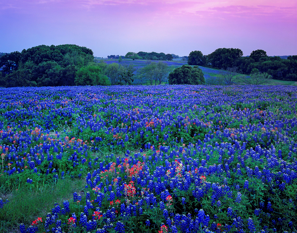 The Pollock Family: Beautiful April