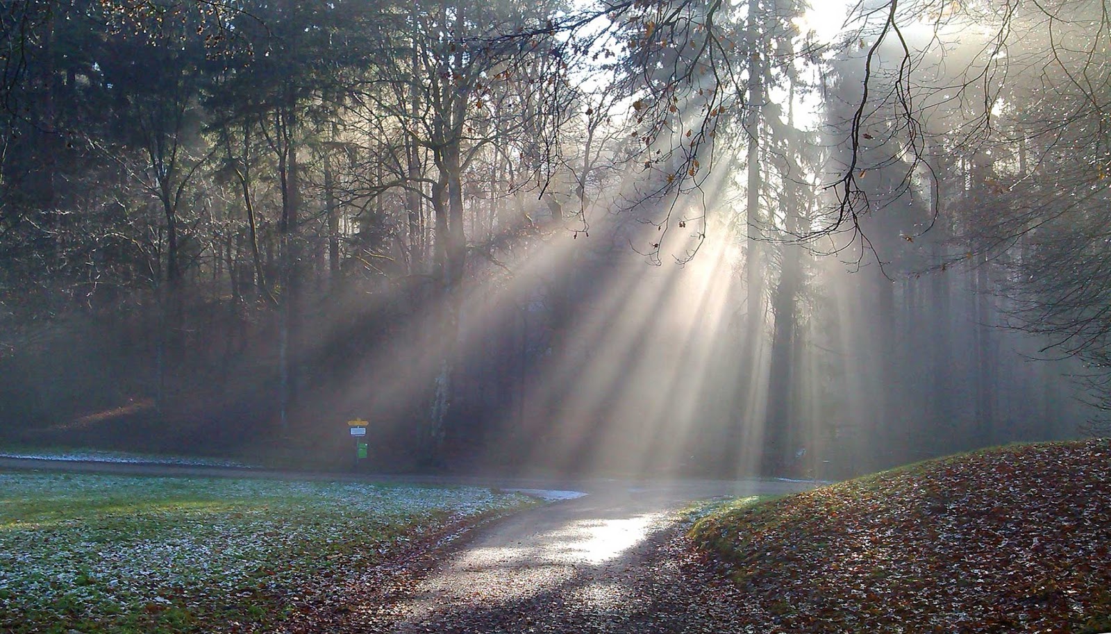 உஷா ஸ்ரீகுமாரின் பார்வைகள்...: மனித உறவுகள் சீராக இருக்க..... A to Z ...