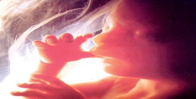#BreakingNews #ProLife New Flash of Light at Conception - Scientists ...