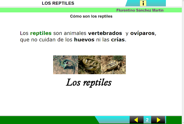 APRENDER ES DIVERTIDO 1º Y 2º: Los reptiles.