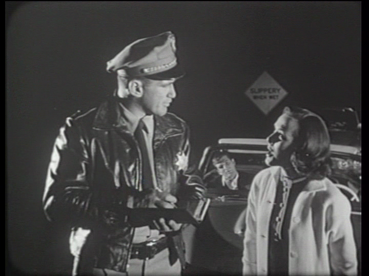 Scared Shiftless in Shasta: April Apocalypse part III: Poodle-geddon