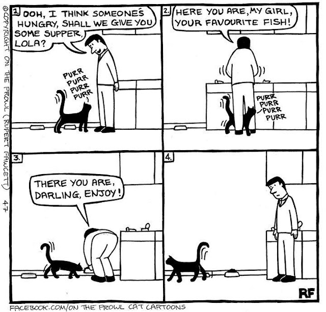 On The Prowl Cartoons - Meet Rupert Fawcett! | from the Dog's Paw- A ...