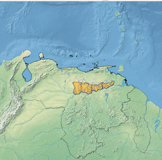 RIO ORINOCO: DIVISIONES DEL RIO ORINOCO