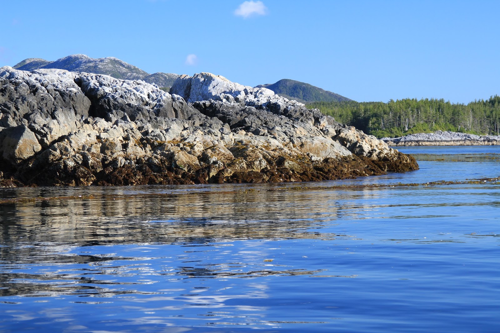 TravelMarx: West Coast Resorts, The Lodge at Whale Channel for the Non ...