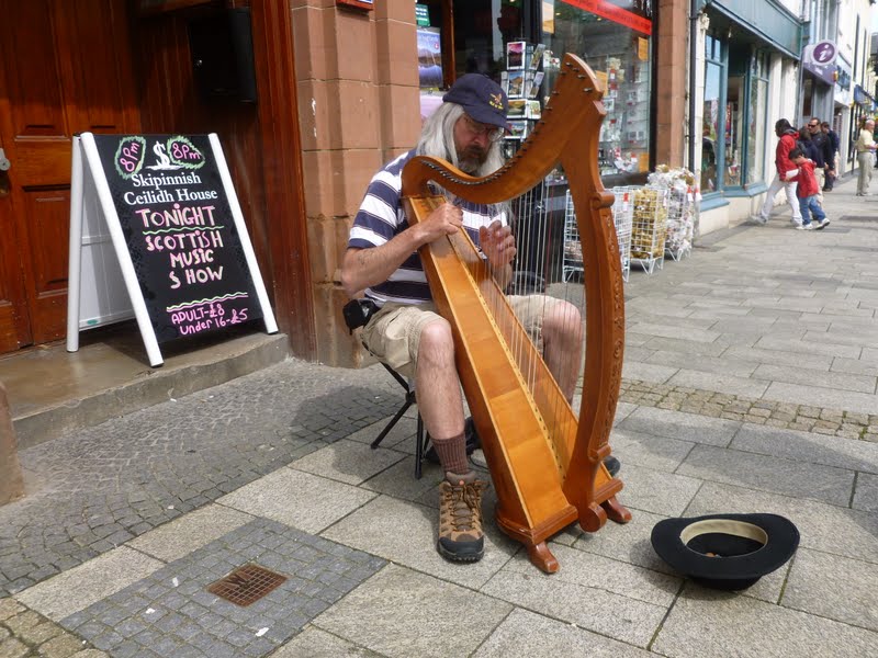 Mike's Harp Adventures: Starfish Harps