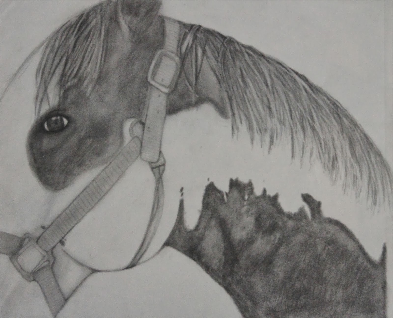 Student Art: Advanced Placement | Studio Art