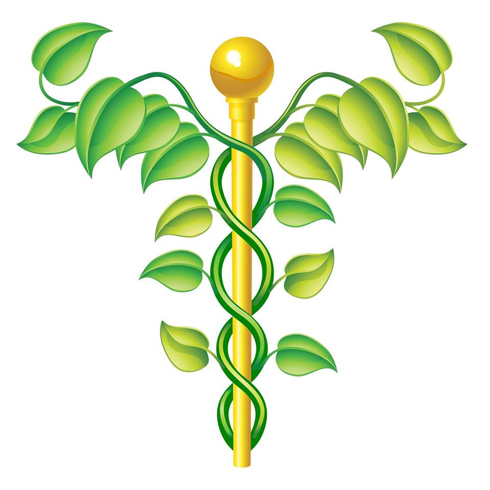 TU ESTILO DE VIDA Y TU FELICIDAD VAN DE LA MANO.: Certificación en ...