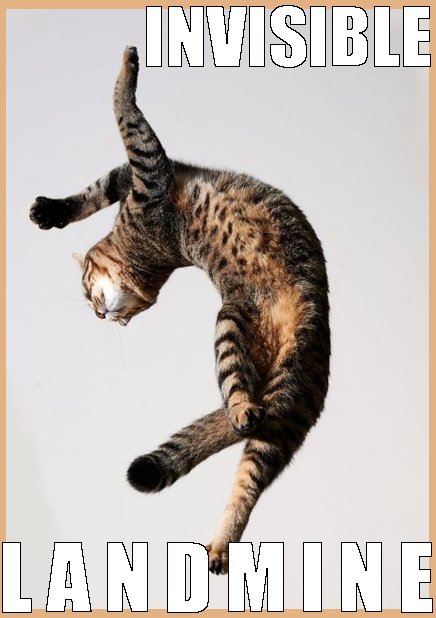 Great Cats Be Funny BLOG: May 2016