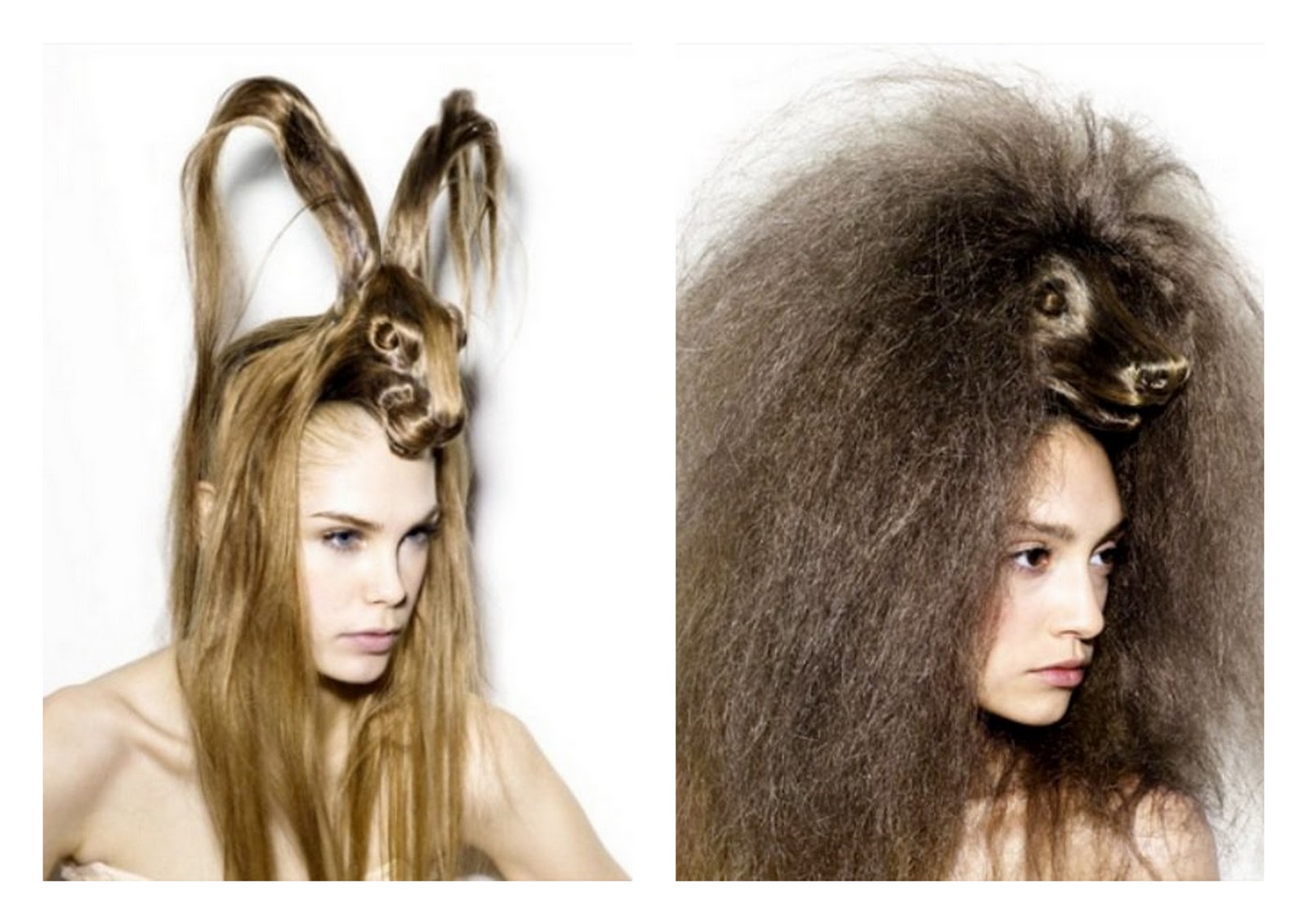 Sophisticated Fashionista.: Extreme Hair Styling