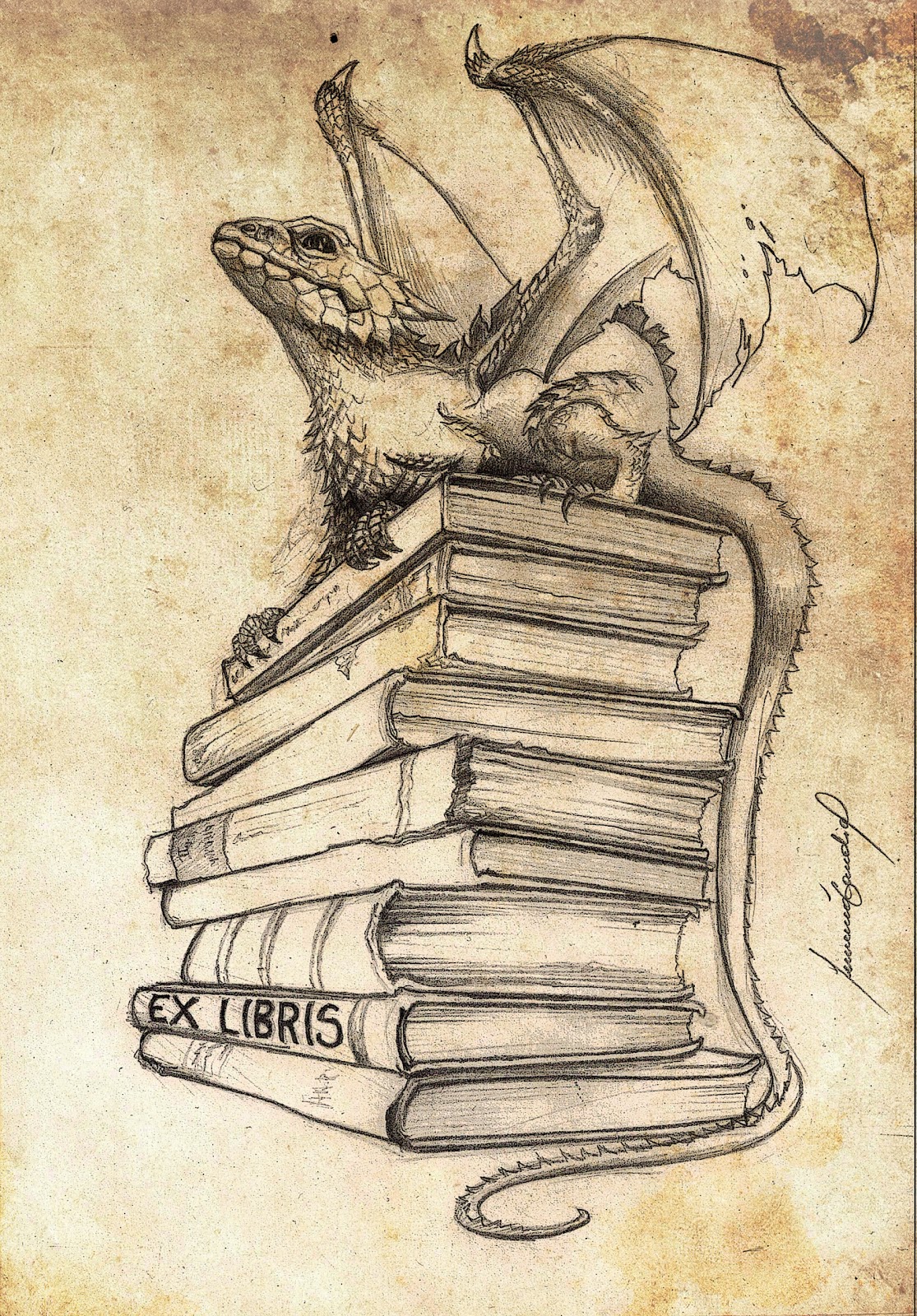Memé Candia: Ex libris