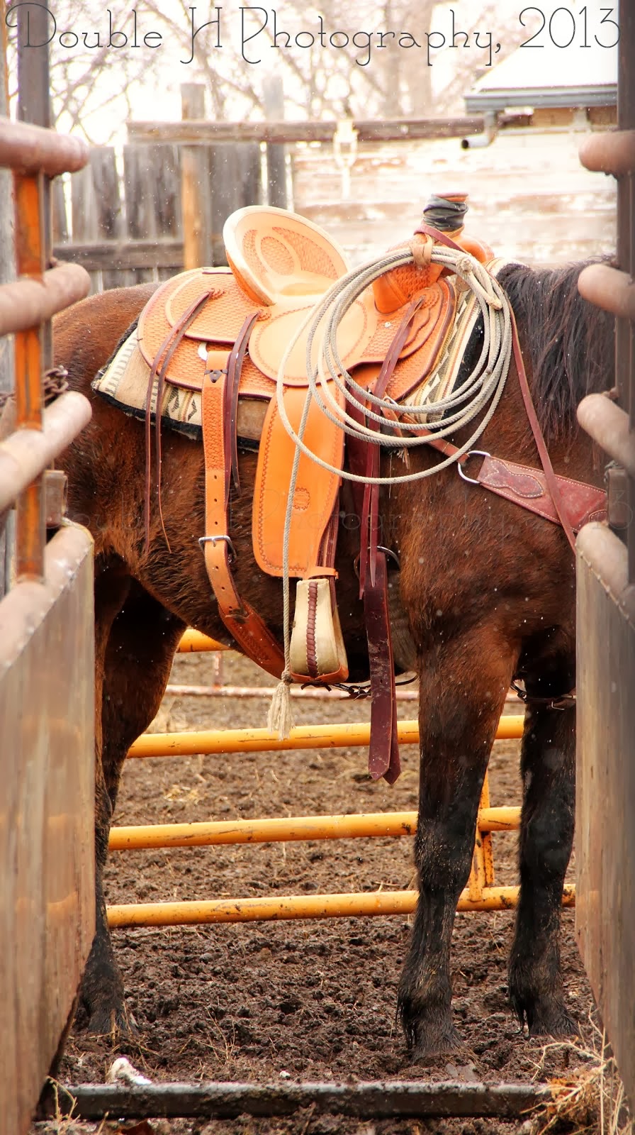 Double H Photography: Hauling Hay