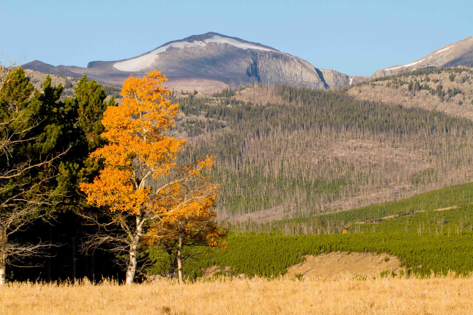 Tim Doolin Photography: Circle Park: Bighorn Mountains in the Fall ...