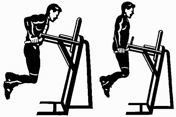 BICEPS AND TRICEPS - ARMS « BODY BUILDING