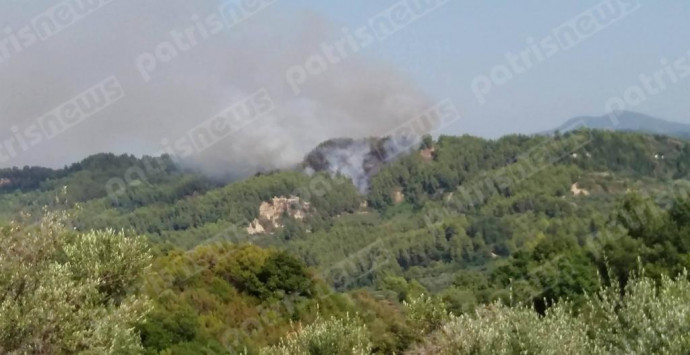 ΤΩΡΑ... ΜΕΓΑΛΗ ΦΩΤΙΑ ΣΤΗΝ ΗΛΕΙΑ... ΚΑΙΓΕΤΑΙ ΚΑΙ ΔΑΣΙΚΗ ΕΚΤΑΣΗ ΣΤΗ ...