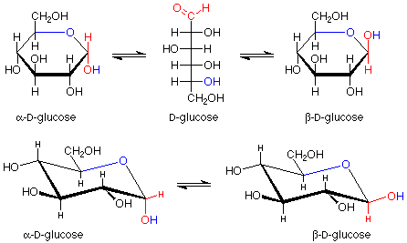 IB2 Chemistry at TASIS