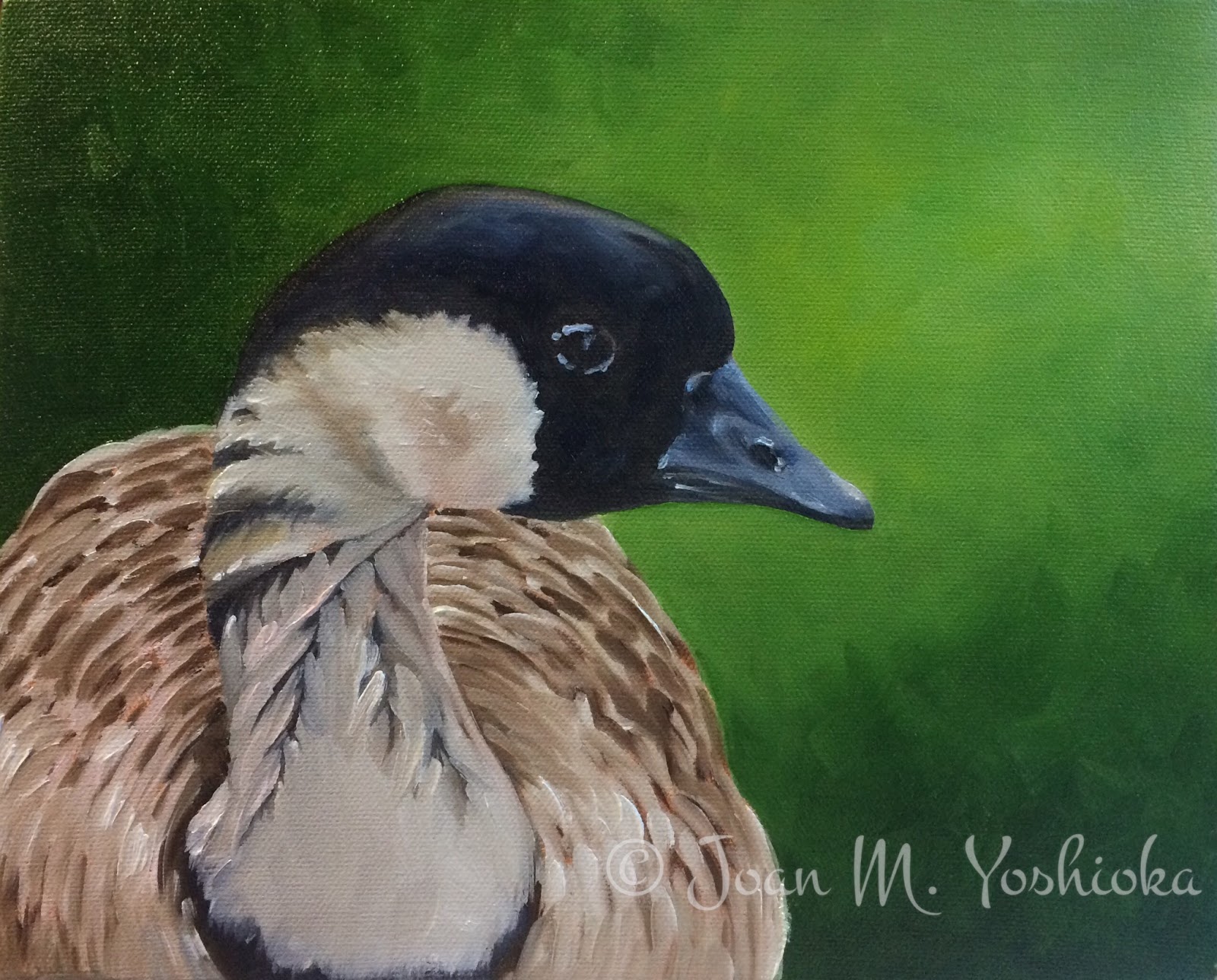 Drawing on Nature: Nene goose (Branta sandvicensis)