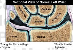 Tom's Physiotherapy Blog: Wrist Injuries Part 2