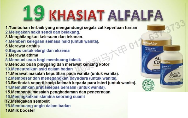 BlogSura: ALFAFA COMPLEX